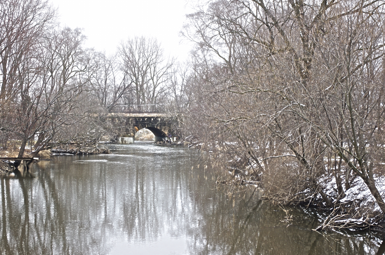 TMS photography: February Nature Photo