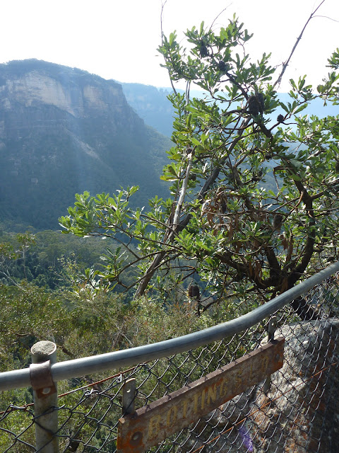 Ruined Castle Walk walking track