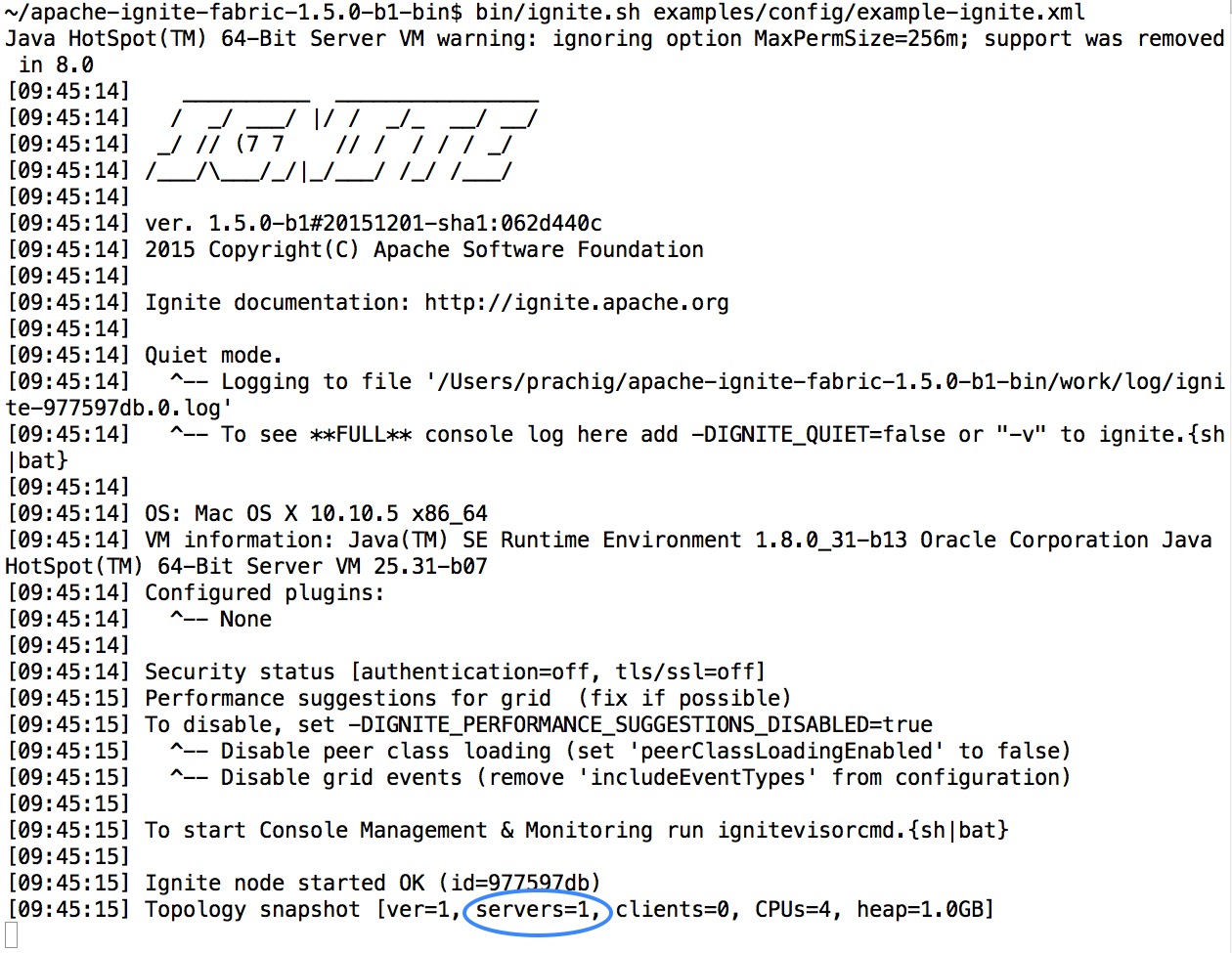 Getting Started With Apache Ignite