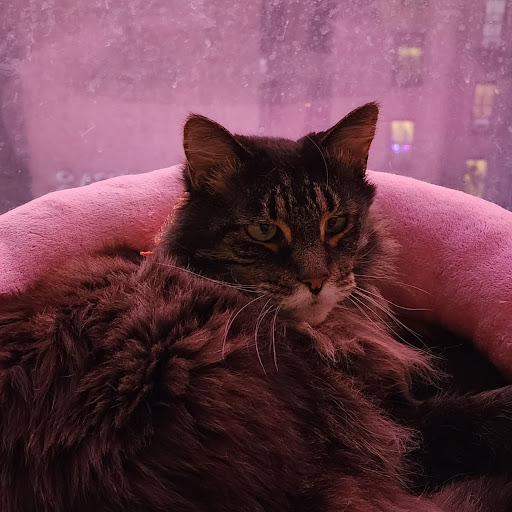 Ways of Seeing - Grade: A - Rosalie Zack Professor Clay Matlin Feminist ...