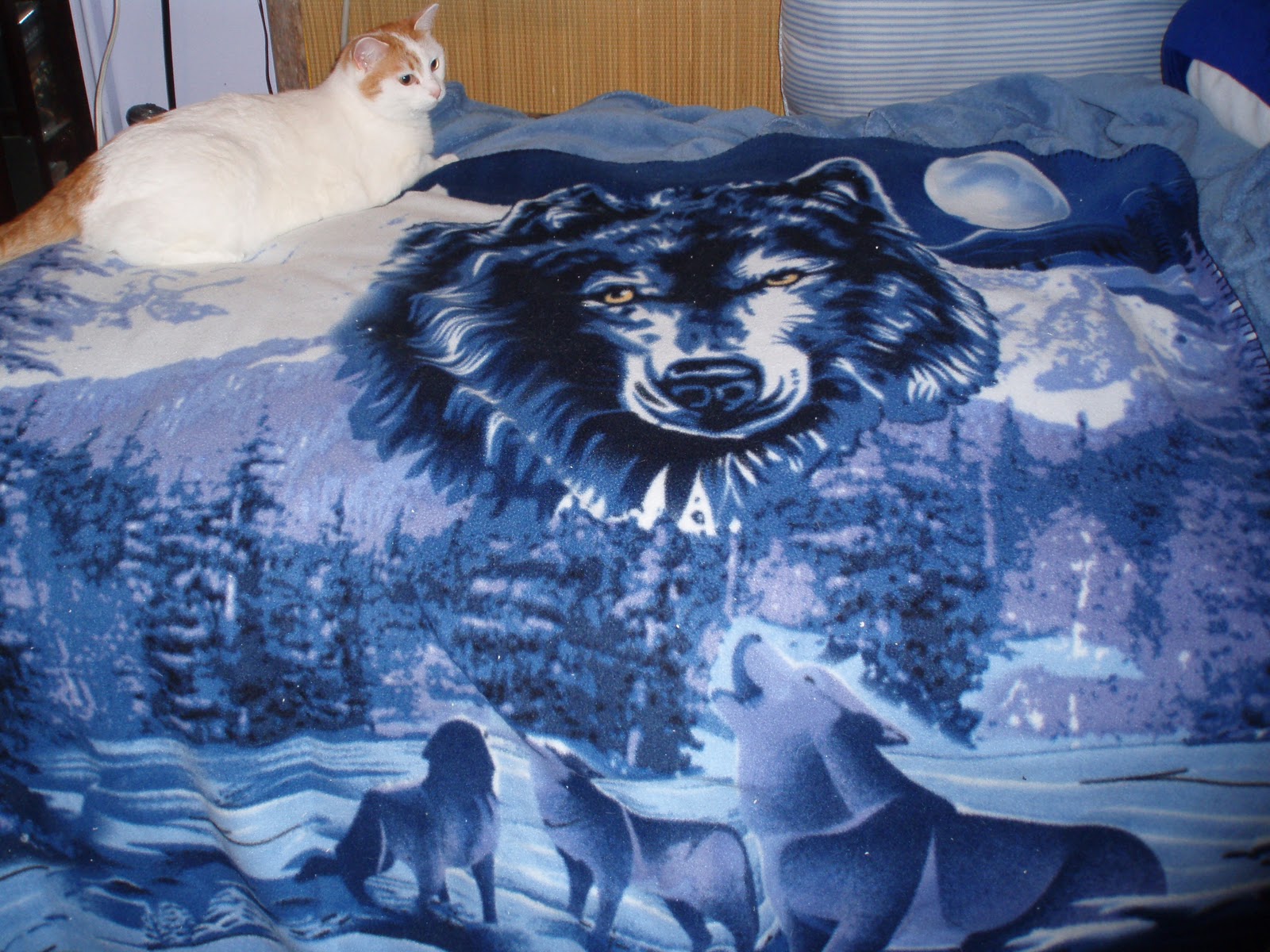 The Werewolf Project: My Werewolf Collection To Date