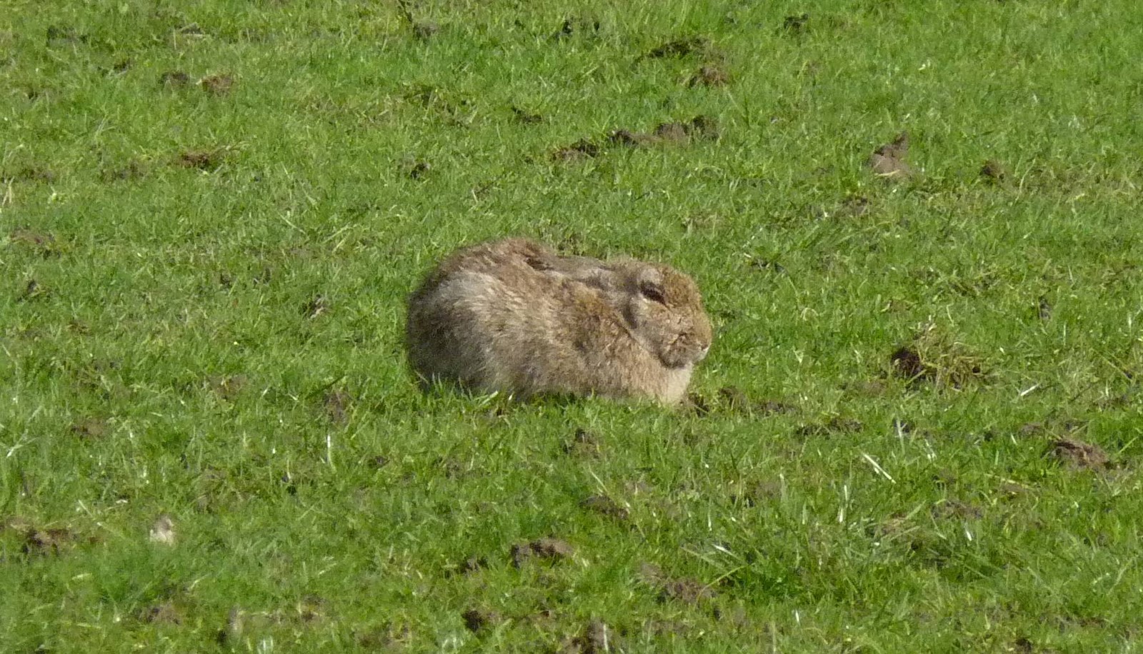 Young birders: February 2011