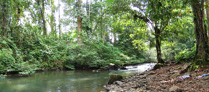 Interesting Places In Malaysia: Tawau Hills National Park|Sabah|Malaysia
