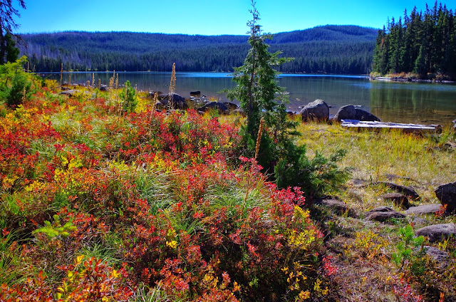 Olallie Lake-- fall colors, no people 10/6/14 - Oregon Hikers