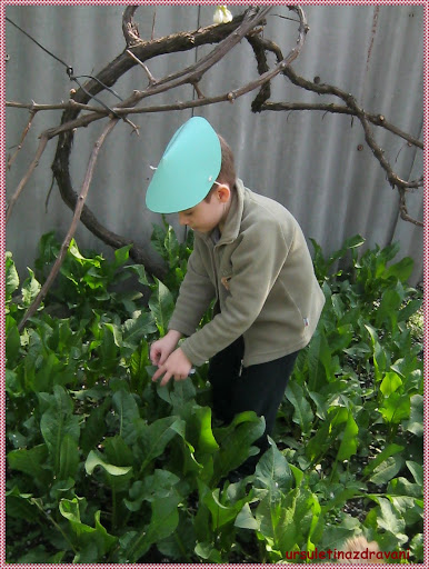 O zi din viata unui copil chinez :) | ursuleți năzdrăvani