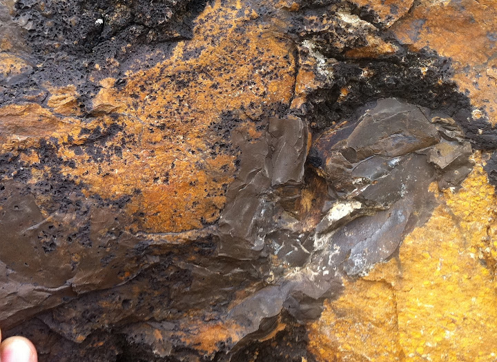 What do you mean "hydrothermal"?