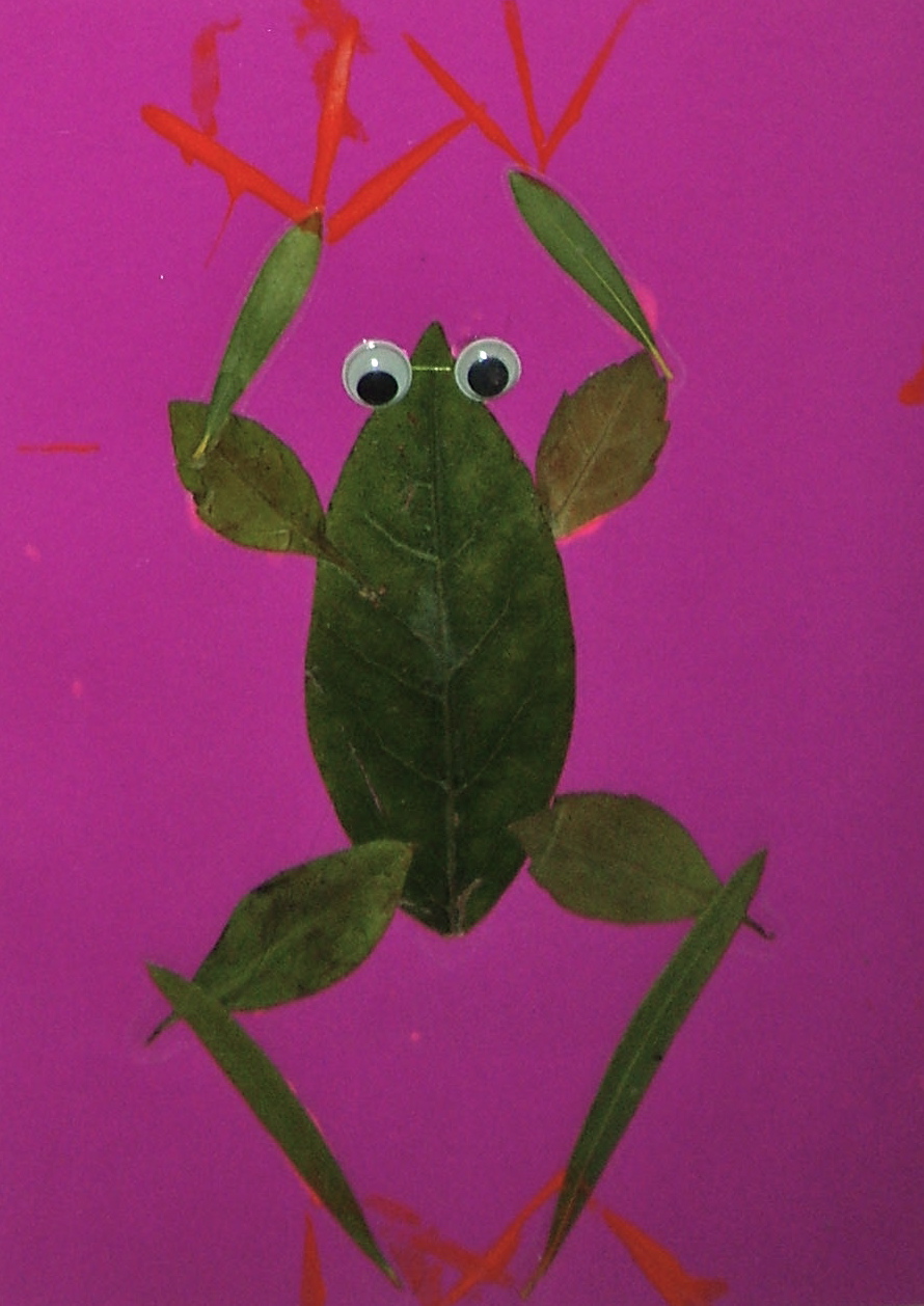 Use Your Coloured Pencils Green Tree Frogs