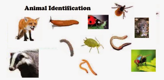 Magh Ag Sci: May 2015