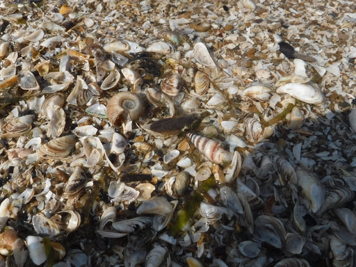 Super Biker Woman's Bike Touring: Aug 19--Day 68--The Long Way to Lake ...