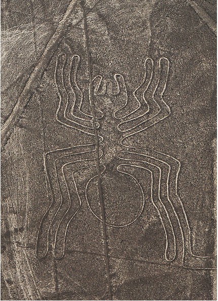 "the world": Nazca drawings