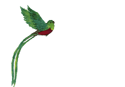 El Quetzal Guatemala