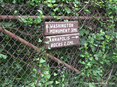 Hiking With Hammer: Annapolis Rock Hike on the Appalachian Trail