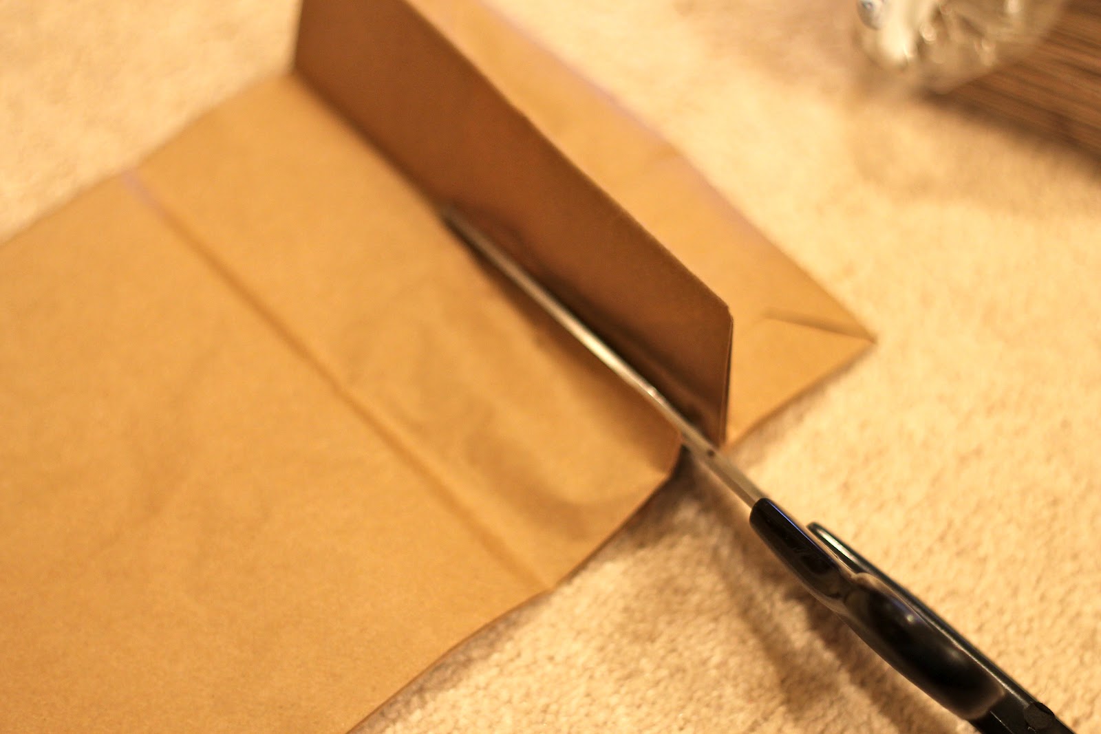 Eberhart S Explorers Diy Palm Tree