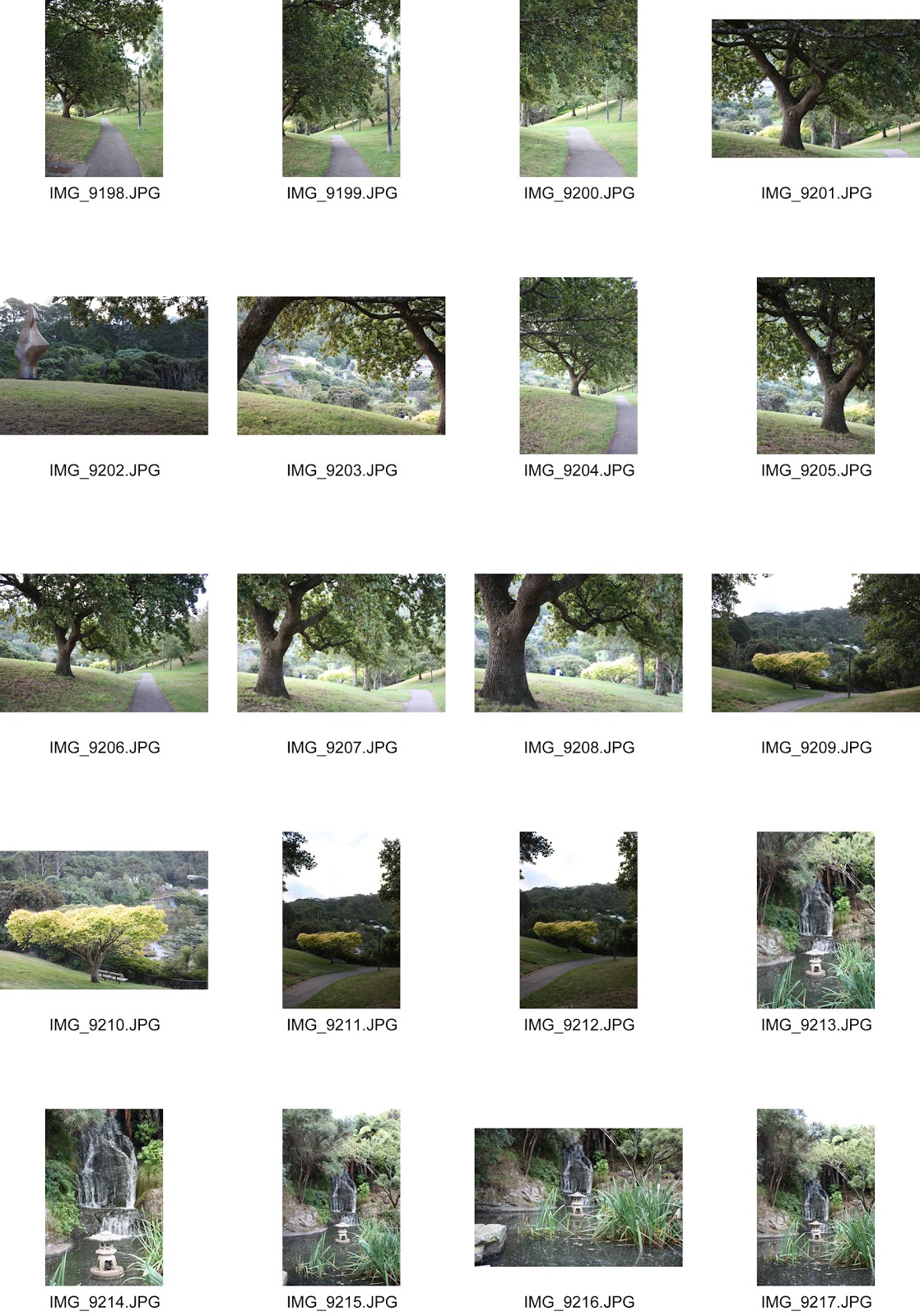 Digital Photographics: Contact sheets from second shoot