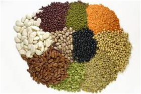 TECNICOS EN COCINA BRIGADA 2: LEGUMINOSAS