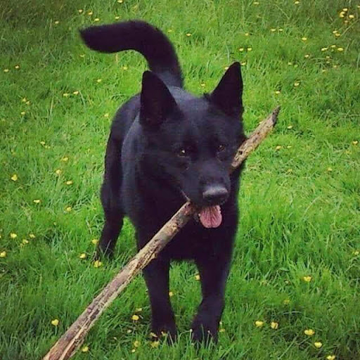 Mandy Jones - Address, Phone Number, Public Records | Radaris