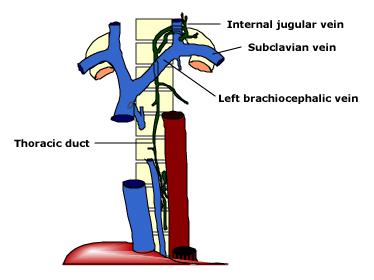 EL RINCÓN DE LA MEDICINA INTERNA: 22-mar-2011