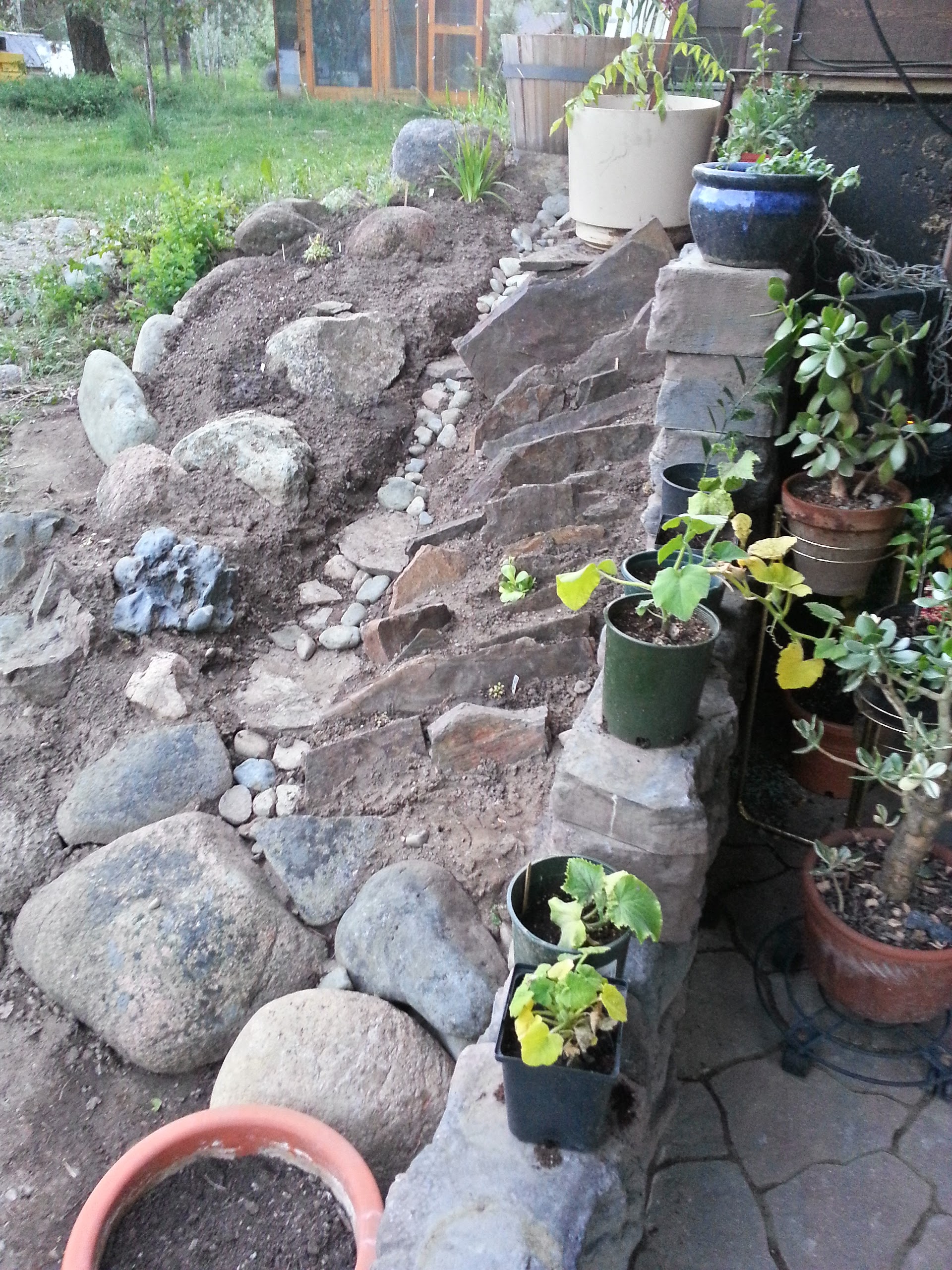 RockGardener.ca: A Quick and Dirty Crevice Garden