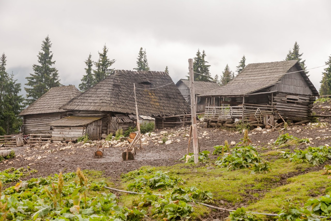 De la Ciungetu la Petroşani, prin Târnov şi Parâng | Însemnări