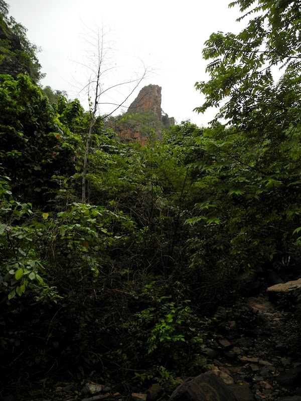 Exploring the Nallamalla forest range, and trekking at Ahobilam - xBhp ...