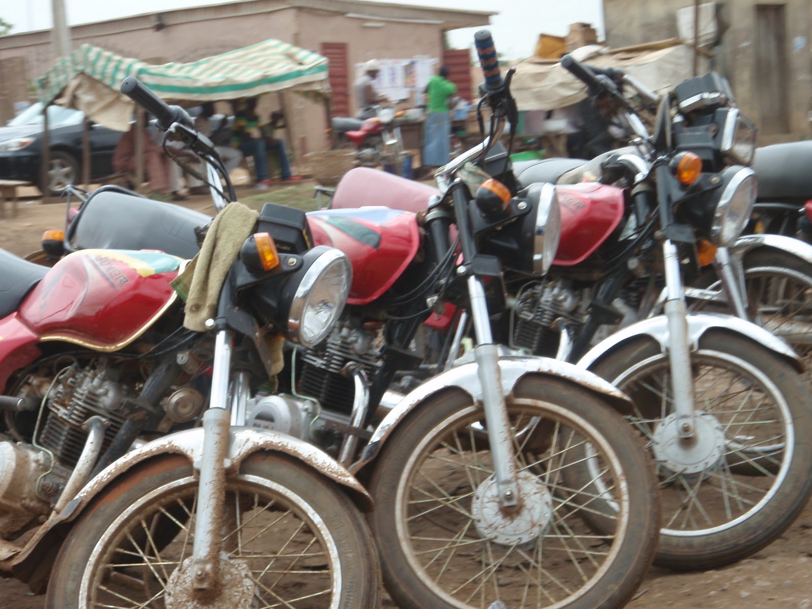 Philippa in Africa: A Sea of Yellow