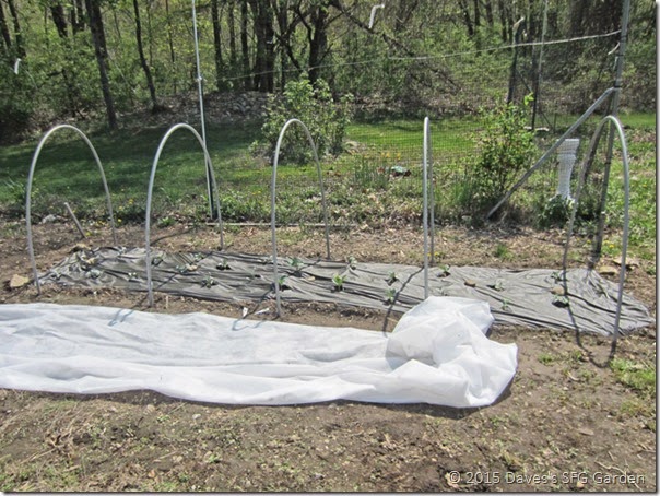 Row Cover System : Dave's Square Foot Garden