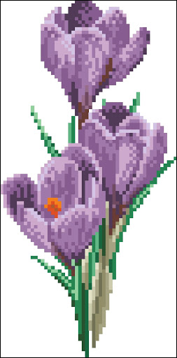 Crocus - Counted cross stitch patterns and charts