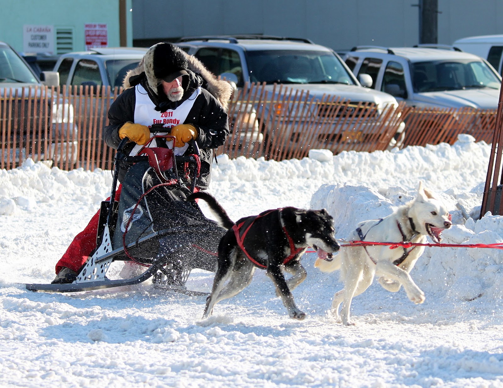 Fur Rondy 2011 Day 3