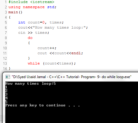 Developers Society C Tutorial Program 9 Do While Loop