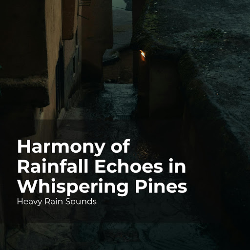 Bountiful Rain Skyfall - YouTube Music