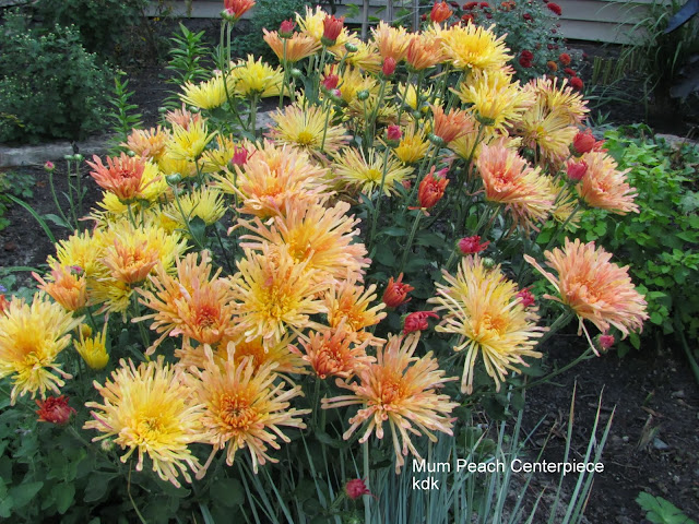 Very impressed with the Mammoth Mum series