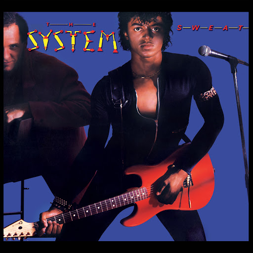 You Are in My System - YouTube Music