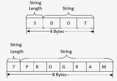What Is Variable Length String Format In C Language