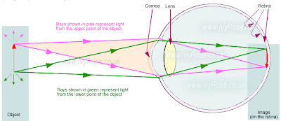 Fruits of Thought: As easy as ABC