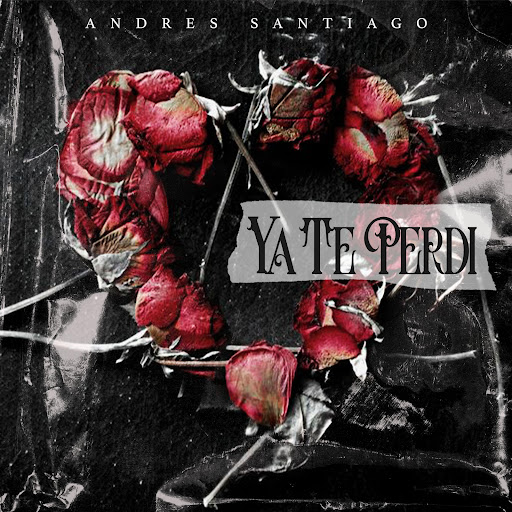 Ya Te Perdi - YouTube Music