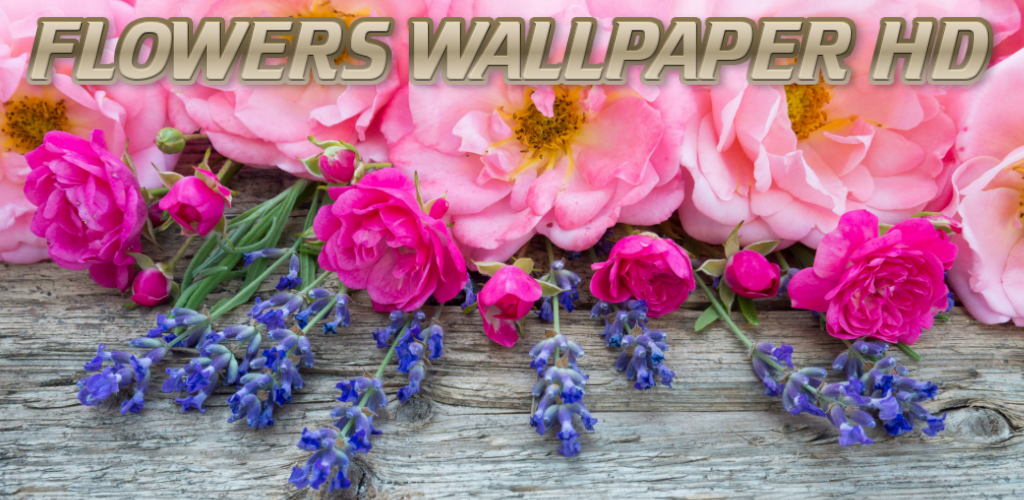 Flowers Wallpaper HD by Greeting Cards and Photo Frames Studio - Latest ...
