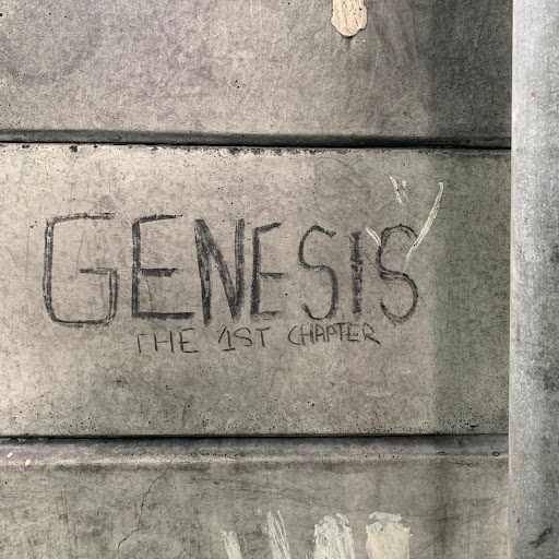 Ikati ilele ziko (feat. Qhamani Sambu) - YouTube Music