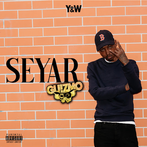 Seyar - YouTube Music