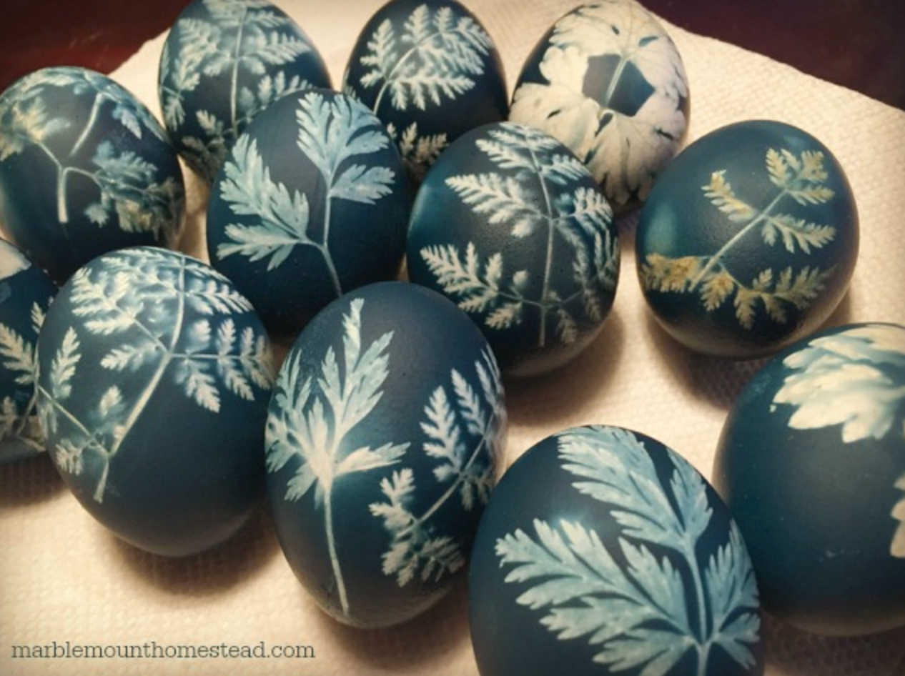 How To Dye Easter Eggs Naturally With Cabbage And Vinegar