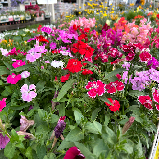 I forgot you - YouTube Music