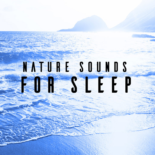 Night Time Sleep Waves - YouTube Music