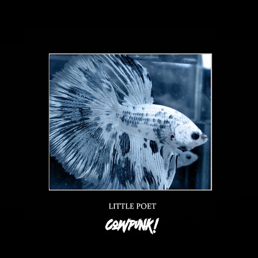 Little Poet - YouTube Music