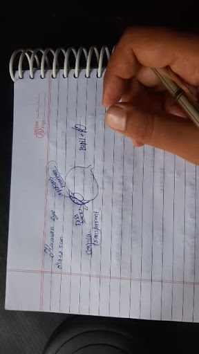 of Herman EyeINTRODUCTION eyebrows, eyelashes, eyelids, protect eyes fro..