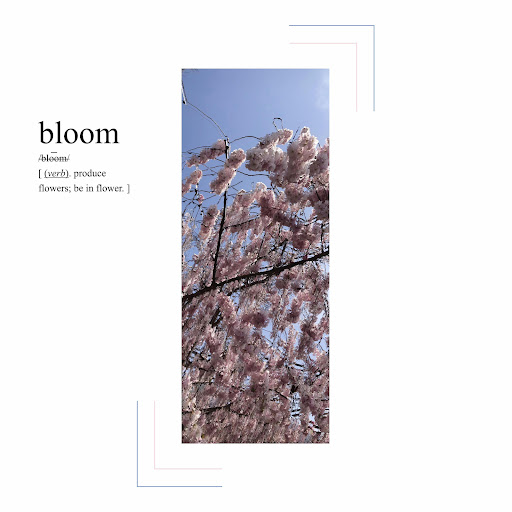 bloom - YouTube Music