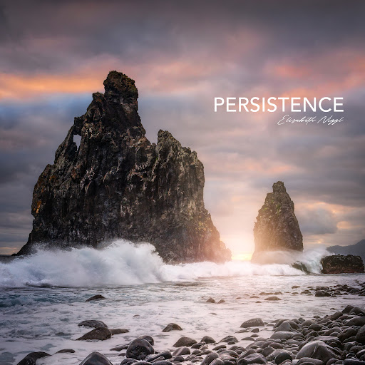 Persistence - YouTube Music