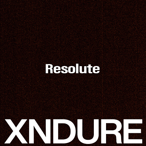 Resolute - YouTube Music