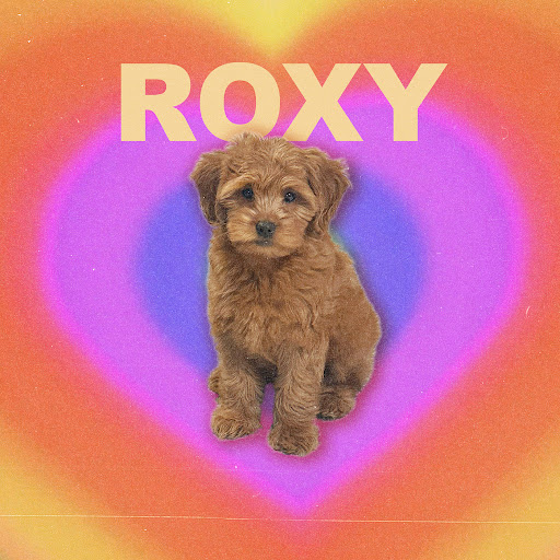 Roxy - YouTube Music