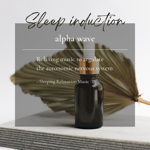 Assistance with sleep -Sleep induction alpha wave- - YouTube Music