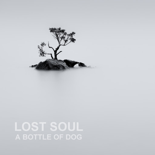 Fat sun - YouTube Music