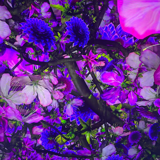 Wonder (feat. GREG AVE) - YouTube Music